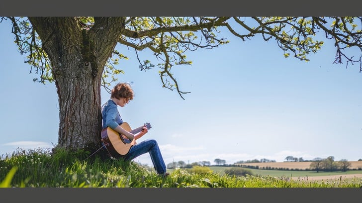 Free Guitar Under Tree Image | Download at StockCake