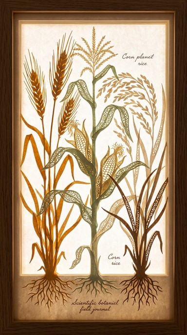 Free Layered Grain Study Image - Botanical, Papercraft, Kirigami ...