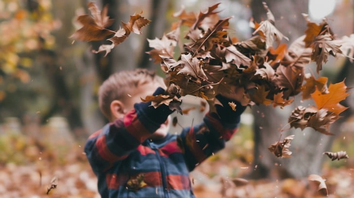 Free Autumn Leaves Play Photo - Autumn, Leaves, Child | Download at ...