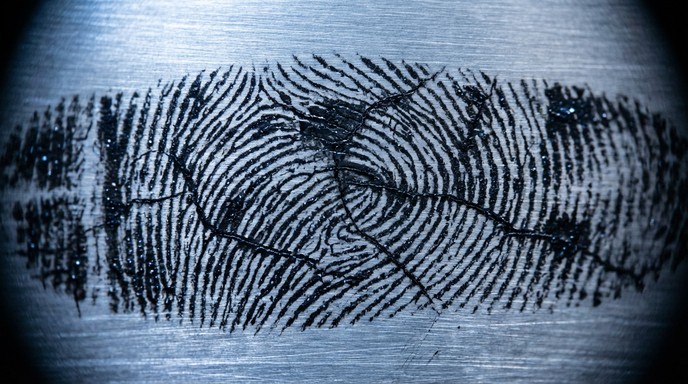 Free Forensic Fingerprint Detail Image - Fingerprint, Forensic ...